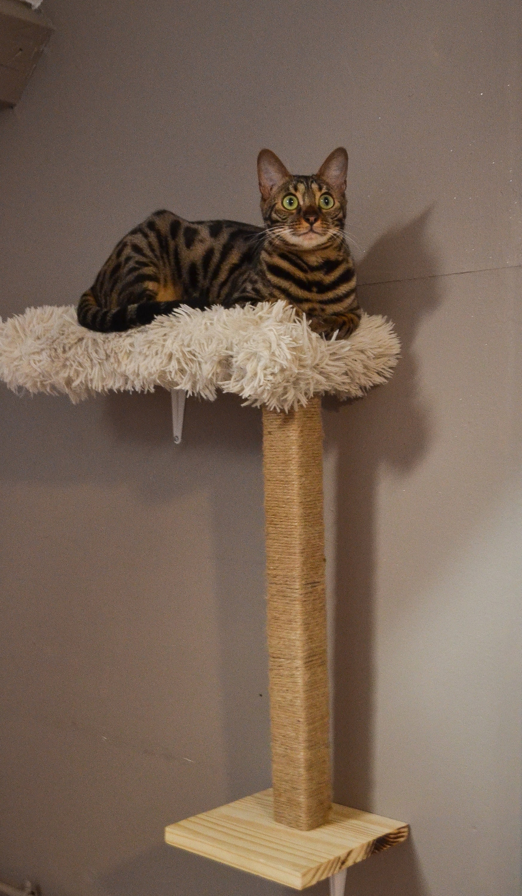 The Wall-mounted Cat Tree Wall-mounted Cat Path - Etsy