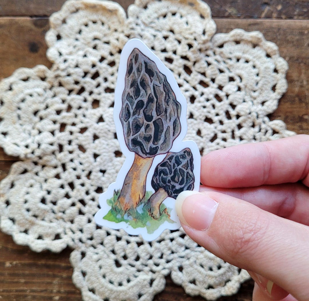 Mushroom Sticker, Morel Mushroom, Autumn Sticker, Fall Art, Vinyl ...