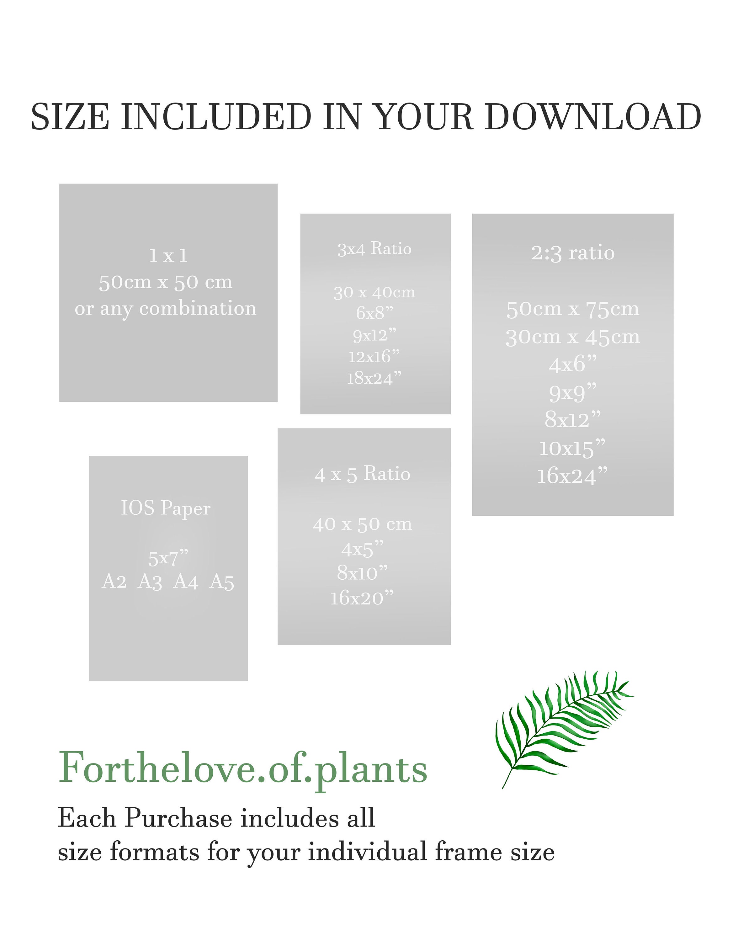 Cercestis Mirabilis Aroid Plant Wall Art Digital Print Indoor Plant ...