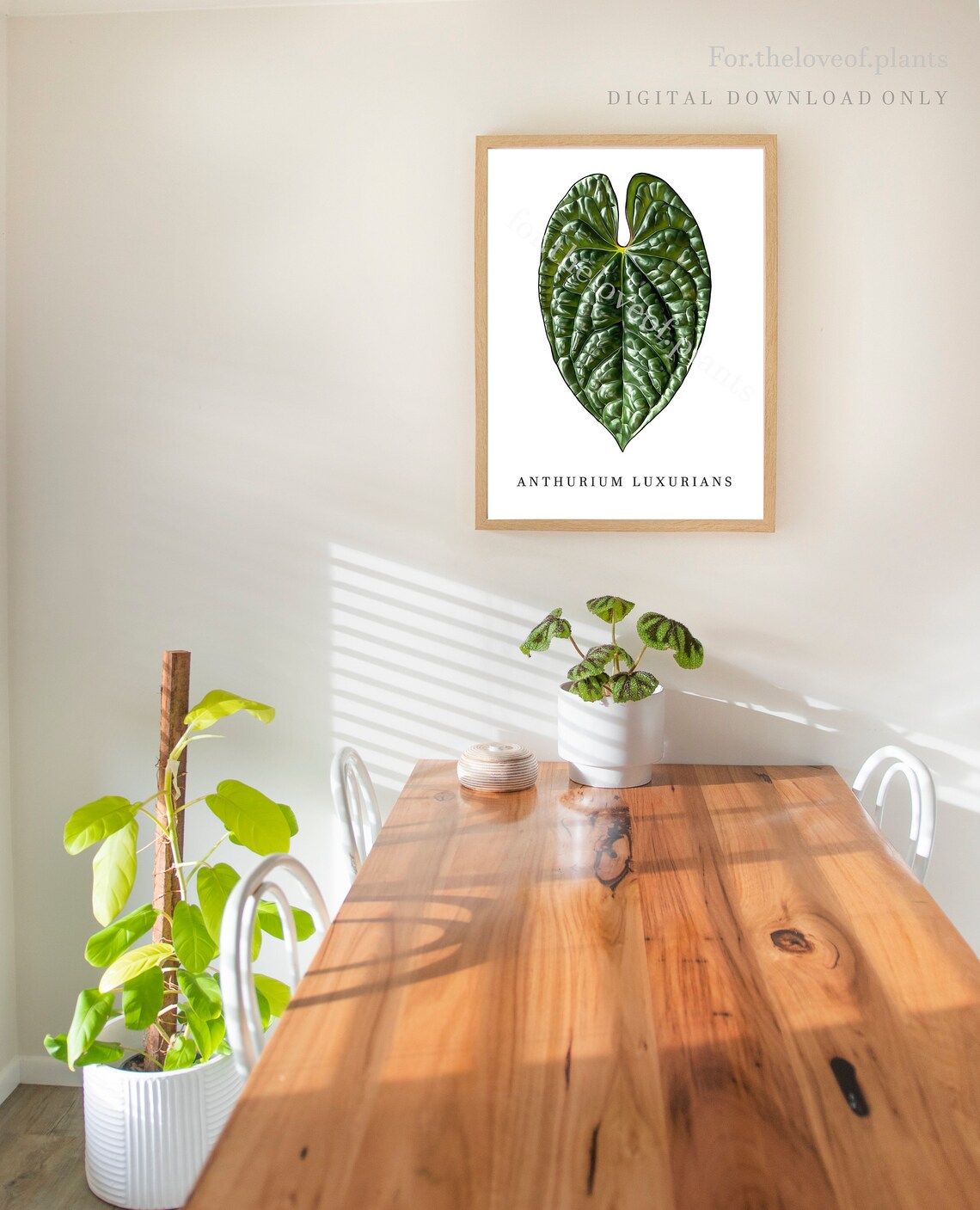 Anthurium Luxurians Aroid Plant Wall Art Digital Print, Indoor Plant ...