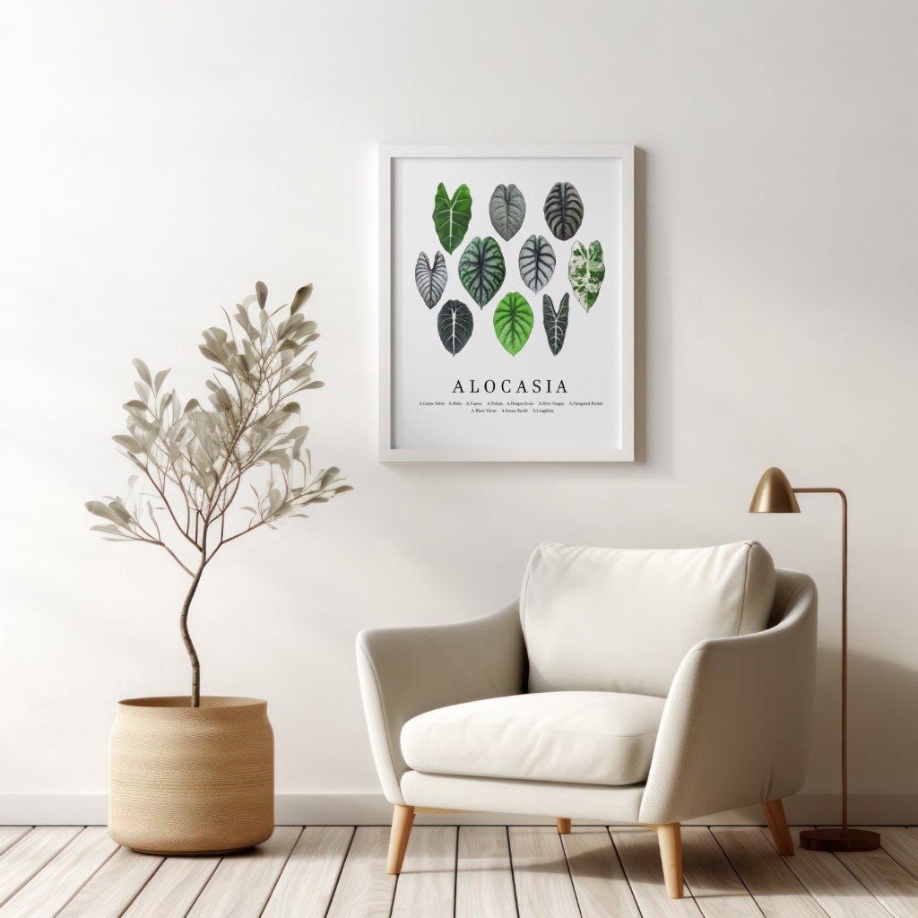 Alocasia Identification Plant Species Chart Poster | Indoor Jungle Wall ...