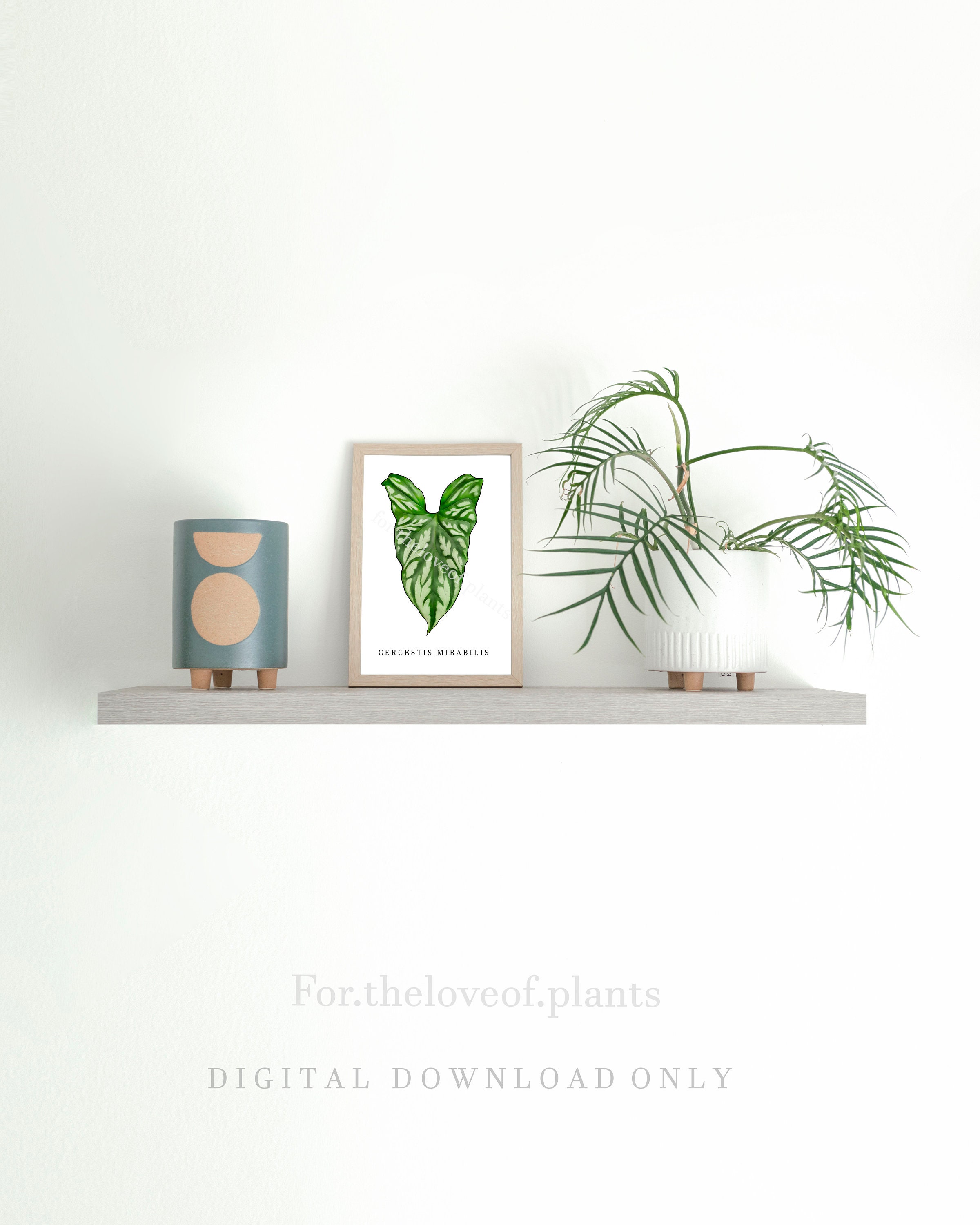 Cercestis Mirabilis Aroid Plant Wall Art Digital Print Indoor Plant ...