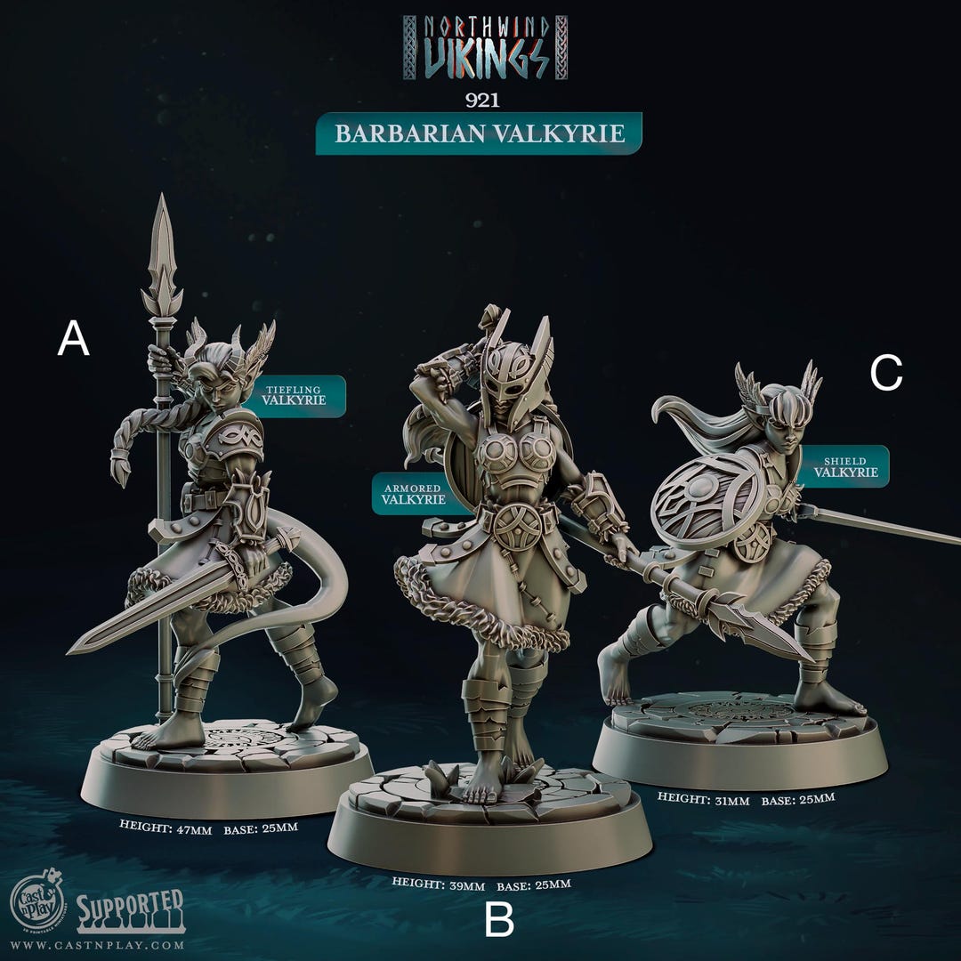Barbarian Valkyrie - Cast N’ Play - Dungeons and Dragons, Dnd ...