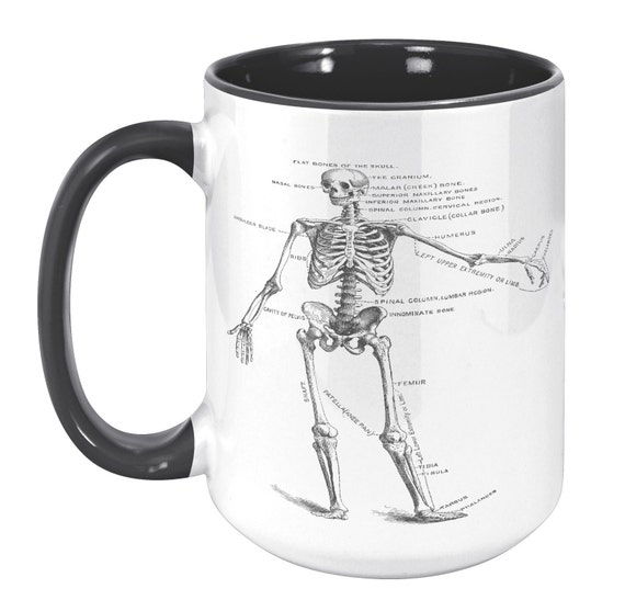 Skeletal Anatomy Mug Medical Student Gift Vintage Medical | Etsy