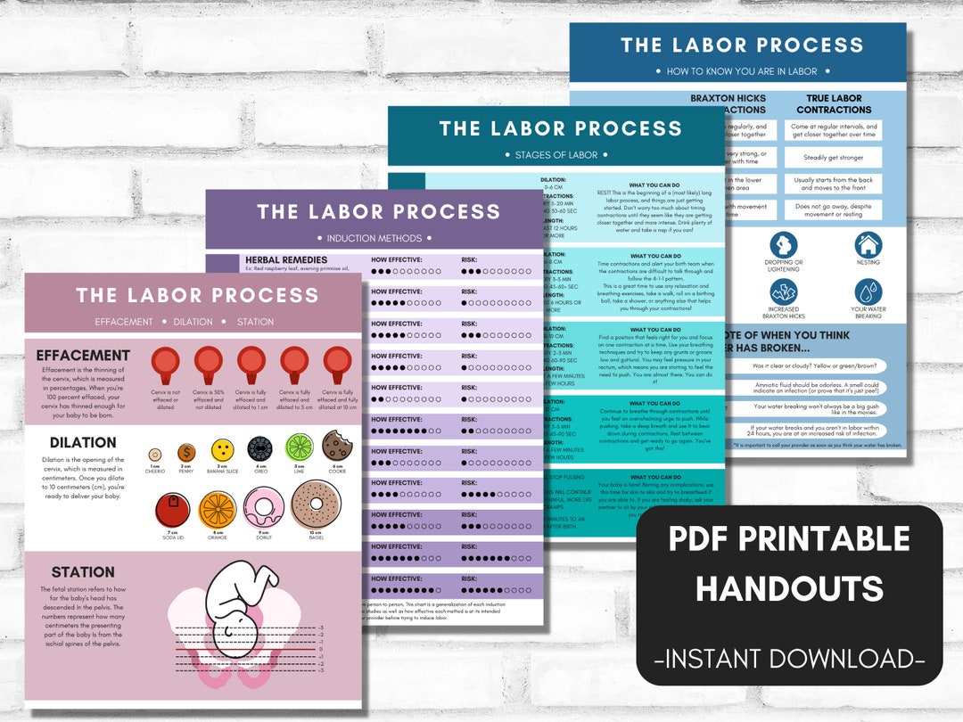 Labor Process BUNDLE- 4 Handouts on Effacement and Dilation, Induction ...