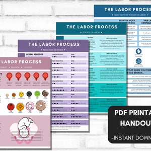 Labor Process BUNDLE- 4 Handouts on Effacement and Dilation, Induction ...
