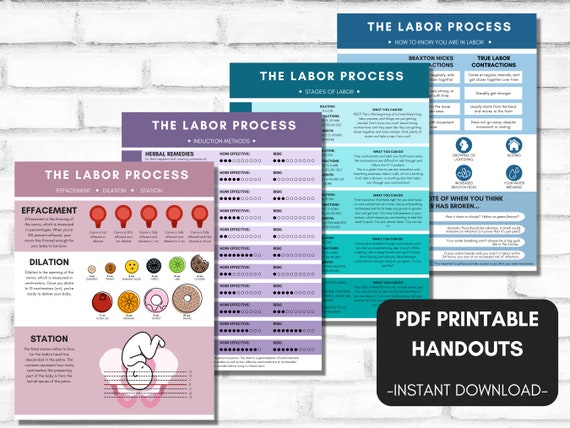 Labor Process BUNDLE 4 Handouts on Effacement and Dilation - Etsy