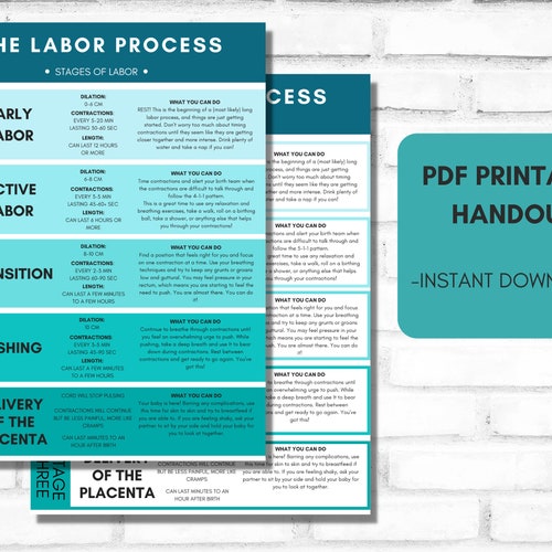 Labor Process Stages of Labor Handout Printable PDF Birth - Etsy