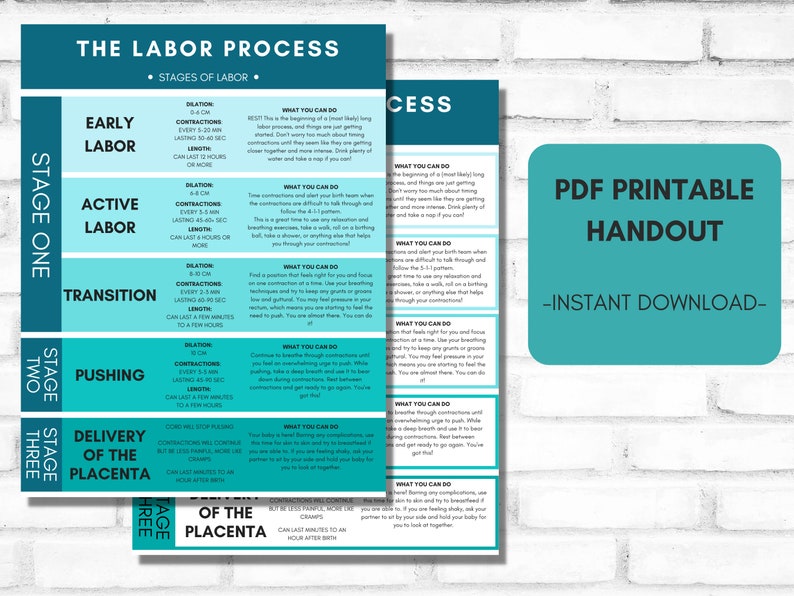 Labor Process- Stages of Labor Handout | Printable PDF | Birth ...
