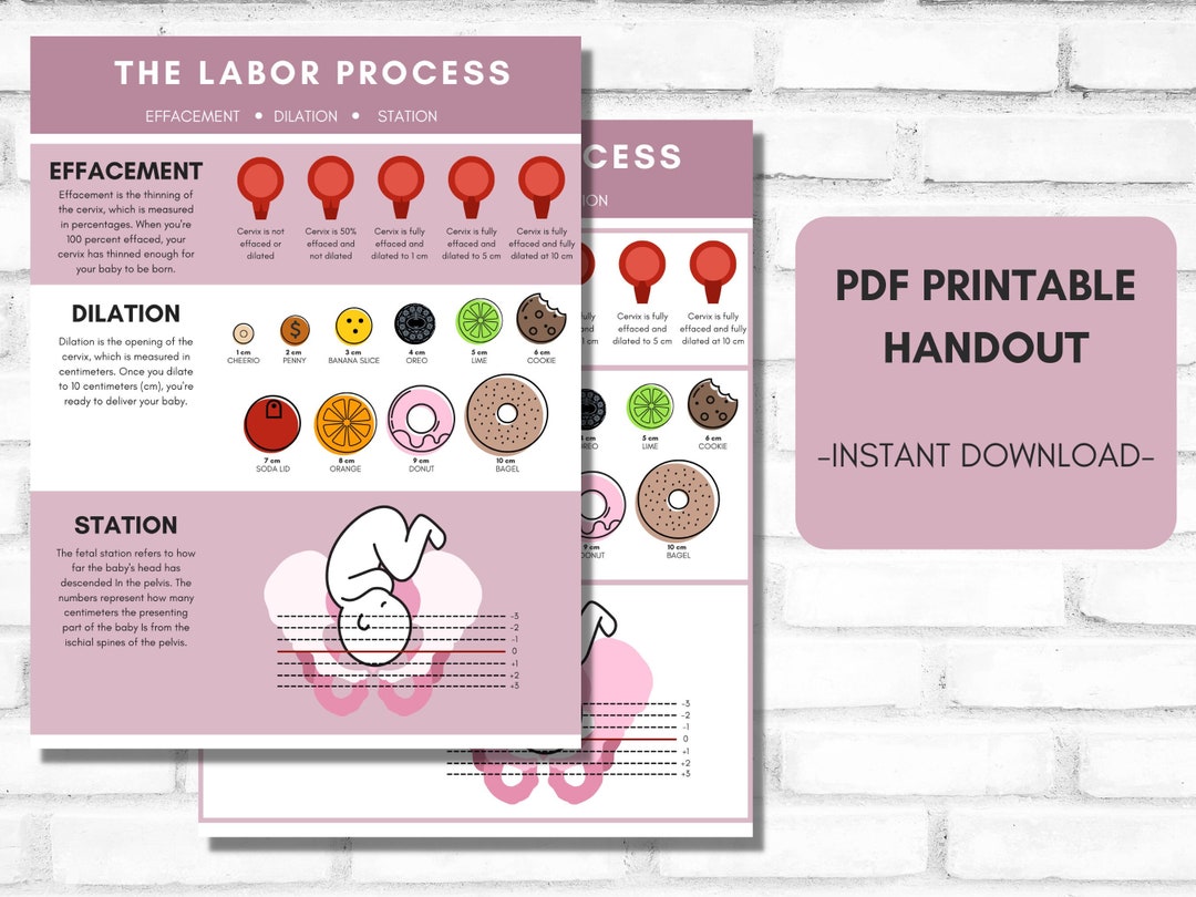The Labor Process Effacement, Dilation, and Station Handout Printable ...