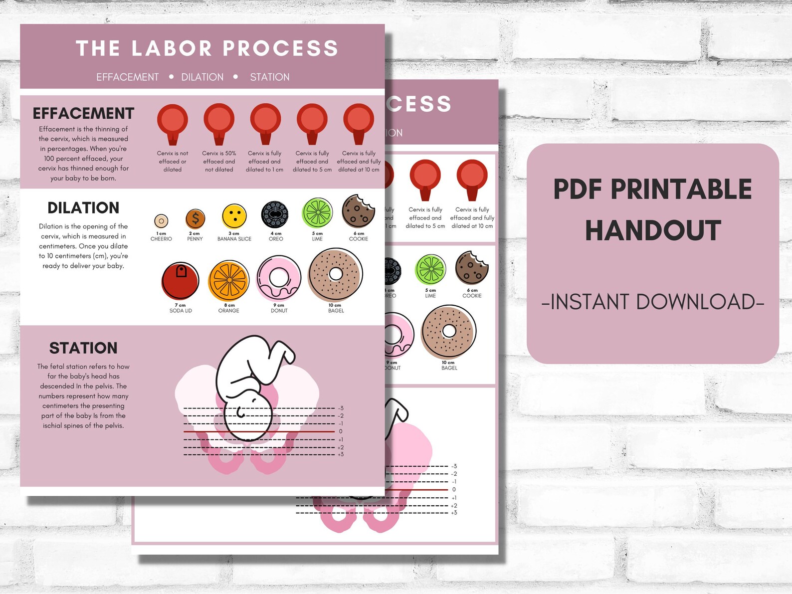 The Labor Process Effacement, Dilation, and Station Handout Printable ...