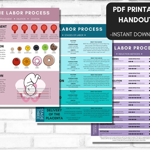 Labor Process Stages of Labor Handout Printable PDF Birth | Etsy