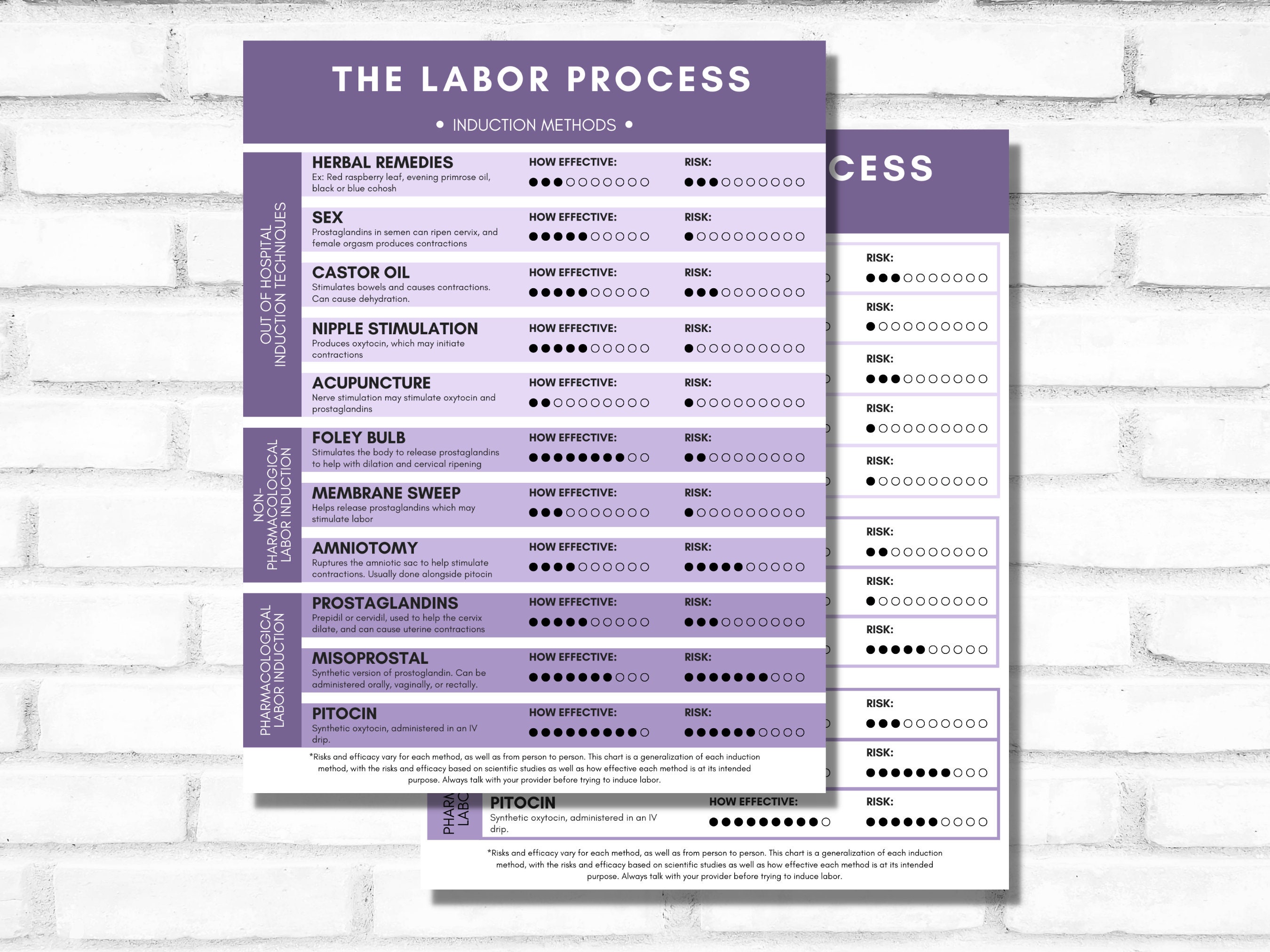 Labor Process BUNDLE 4 Handouts on Effacement and Dilation, Induction ...