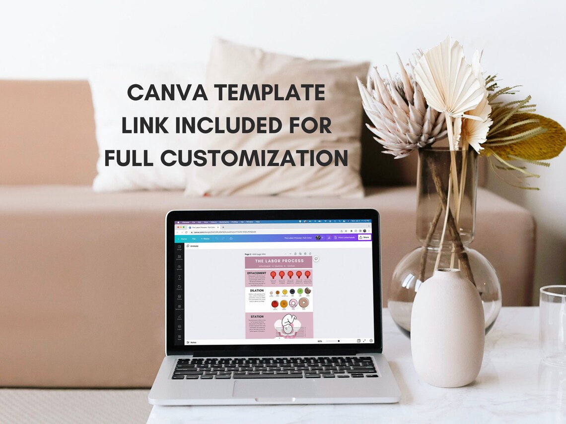 Labor Process BUNDLE 4 Handouts on Effacement and Dilation - Etsy