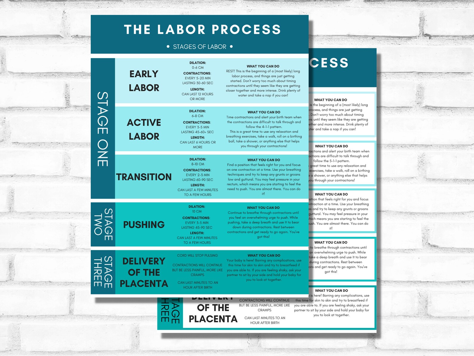 Labor Process BUNDLE 4 Handouts on Effacement and Dilation - Etsy