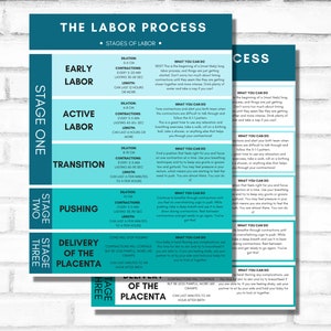 Labor Process BUNDLE- 4 Handouts on Effacement and Dilation, Induction ...