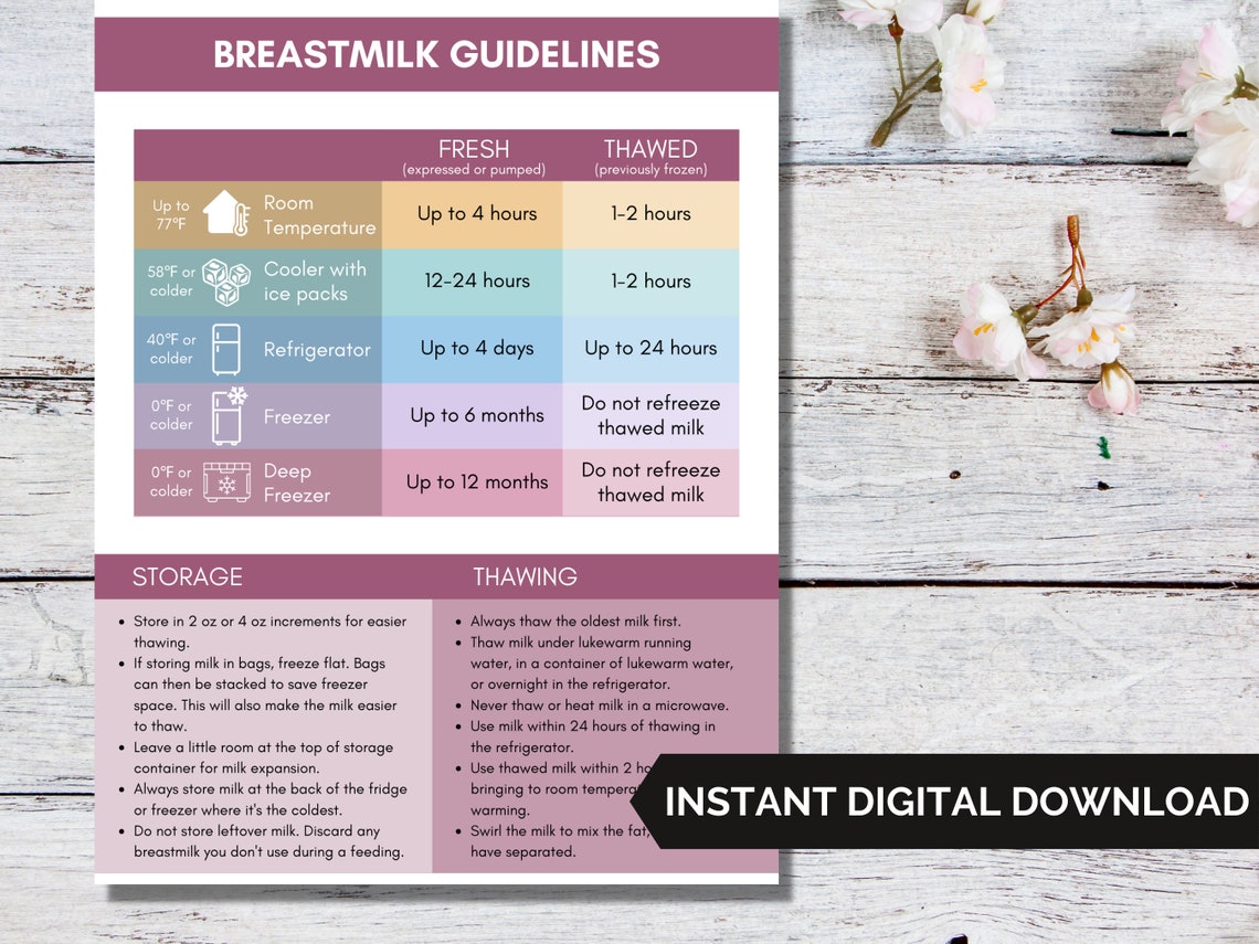 Breastmilk Storage Guidelines | Printable Handout | Digital Download ...