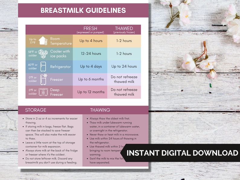 Breastmilk Storage Guidelines | Printable Handout | Digital Download ...