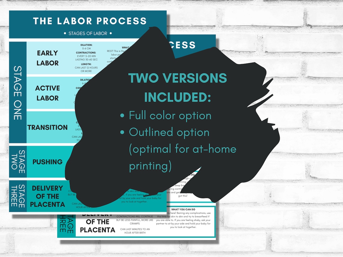 Labor Process- Stages of Labor Handout | Printable PDF | Birth ...
