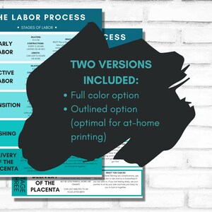 Labor Process- Stages of Labor Handout | Printable PDF | Birth ...