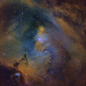 Christmas Tree Cluster & Fox Fur Nebula Metal Print: Cosmic Art - Ready ...