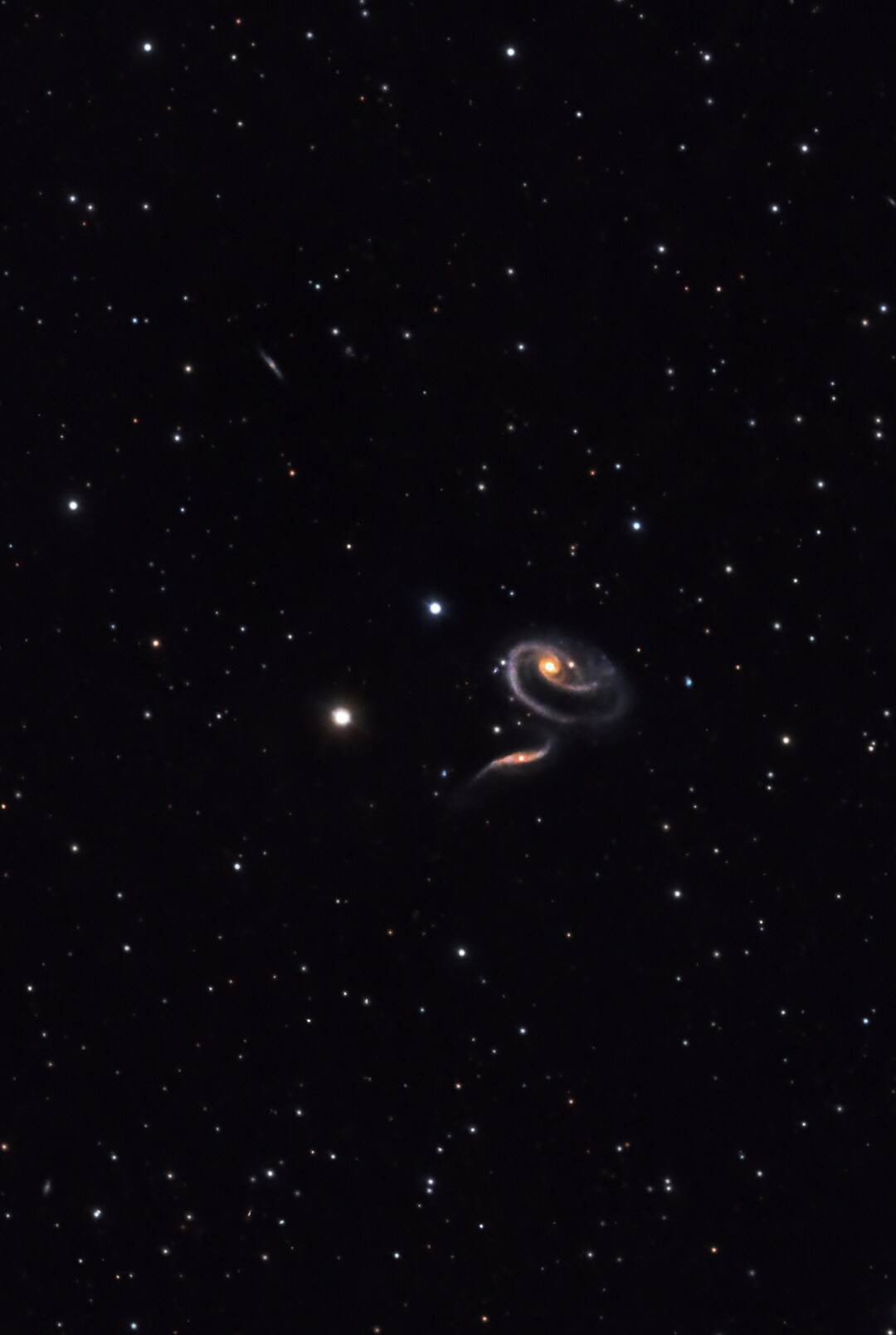 Galactic Rose Art Print: ARP 273/UGC1810 Astronomy Decor - Ready to ...