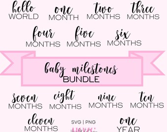 13 Baby Milestone SVG Bundle PNG DXF Baby Gift Baby Milestone Discs ...