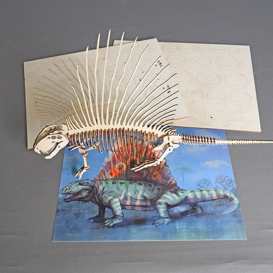 3D Puzzle Dinosaur Dimetrodon Laser Cut Wooden Detailed Realistic Dino ...