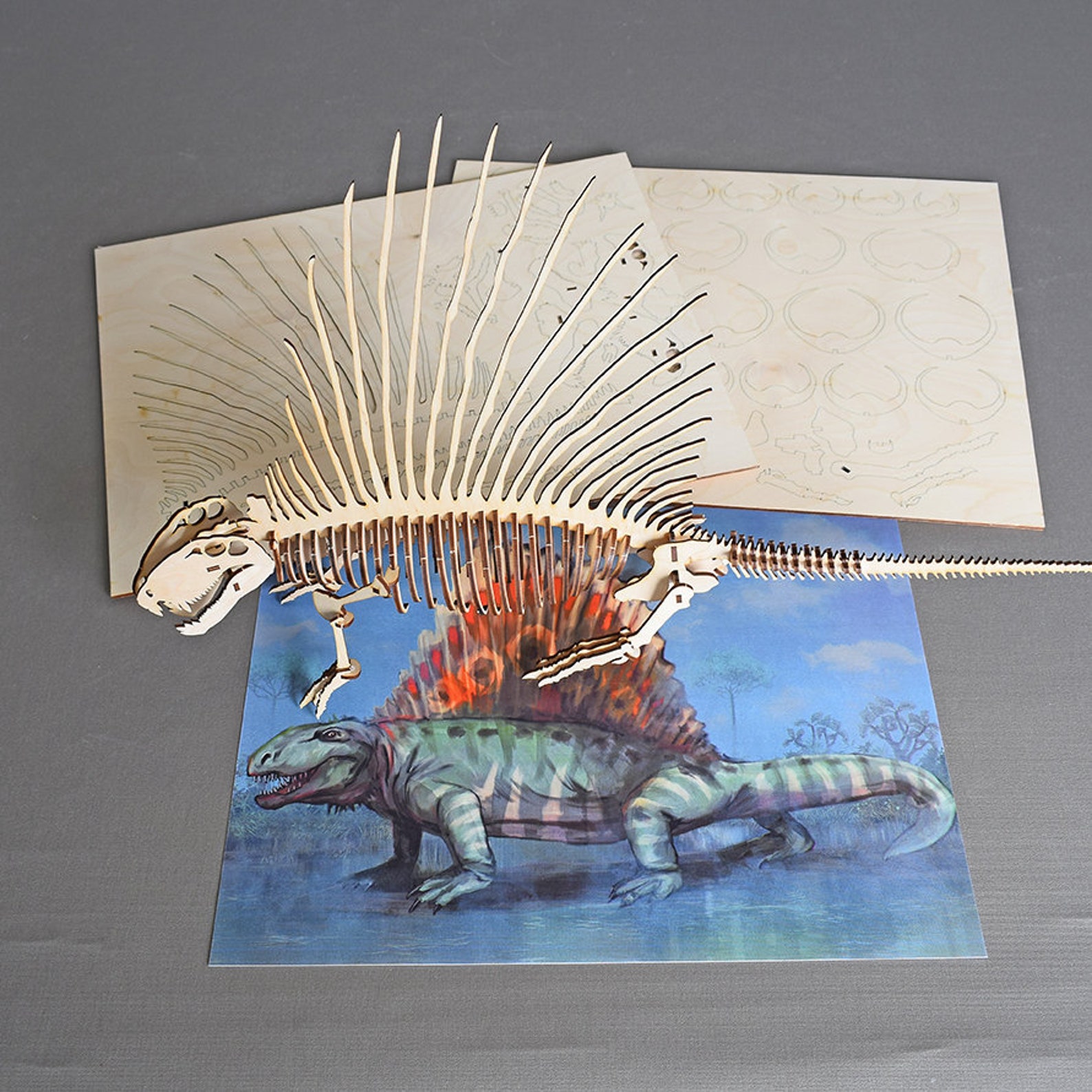 3D Puzzle Dinosaur Dimetrodon Laser Cut Wooden Detailed Realistic Dino ...