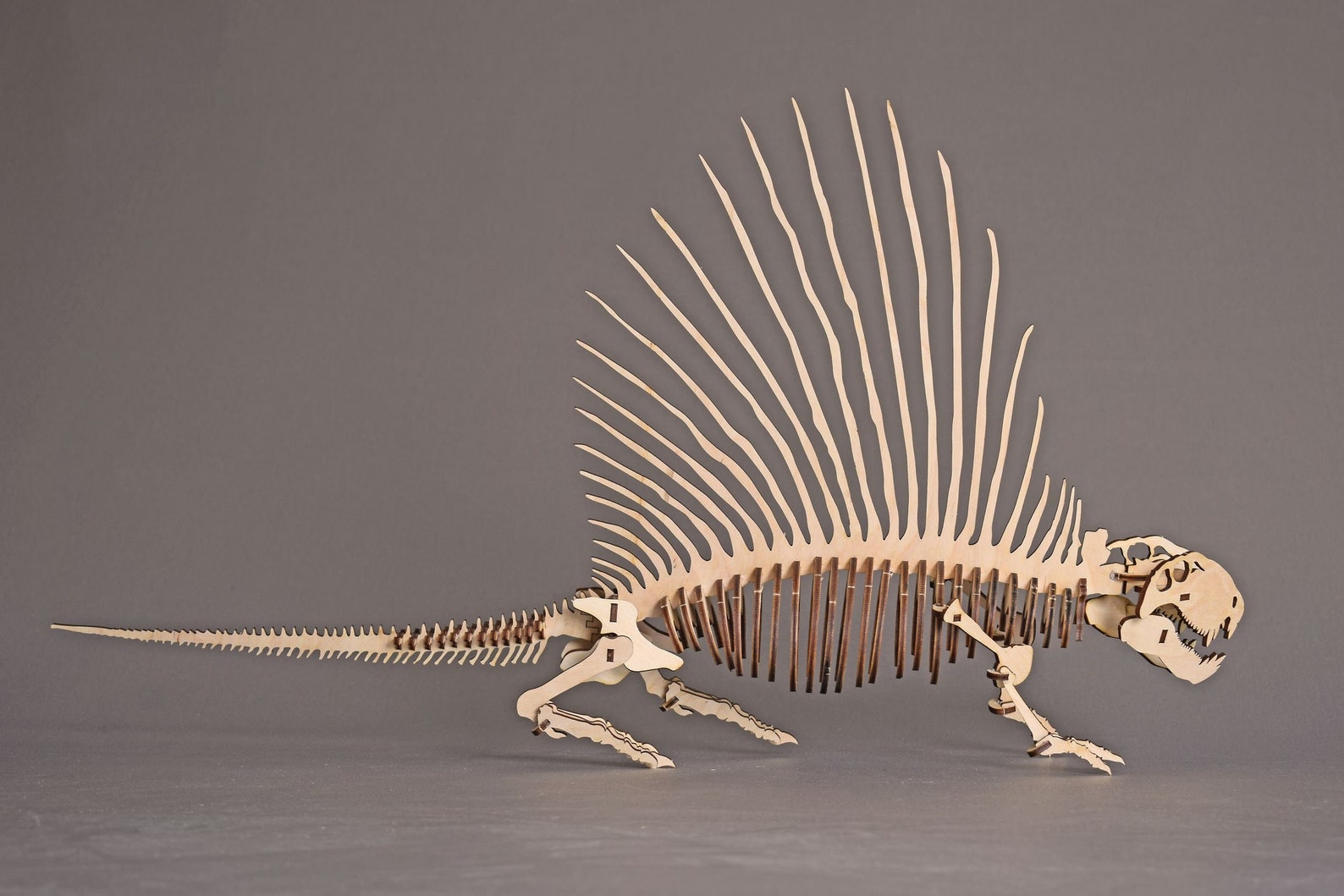 3D Puzzle Dinosaur Dimetrodon Laser Cut Wooden Detailed Realistic Dino ...