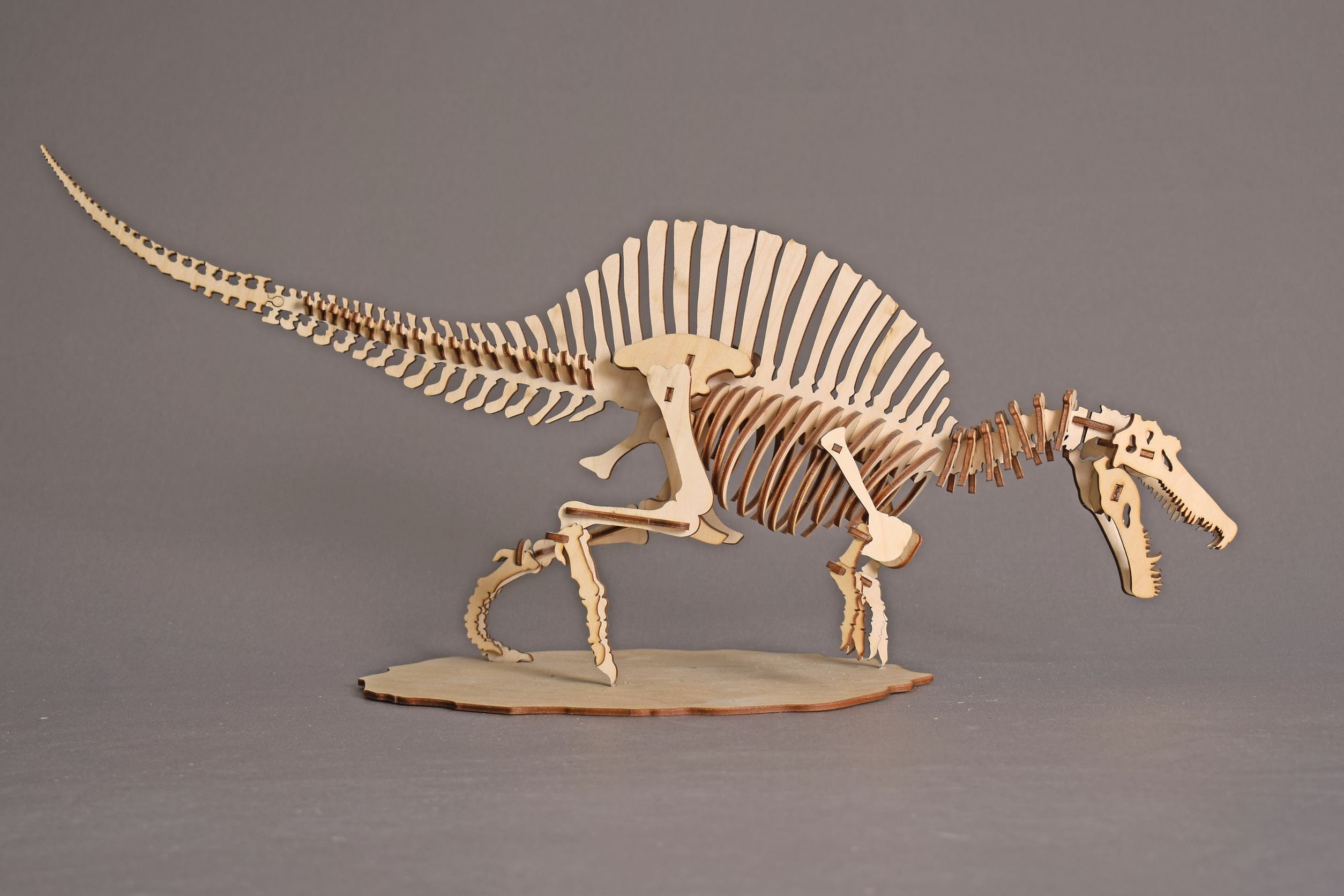 Spinosaurus Skeleton Model
