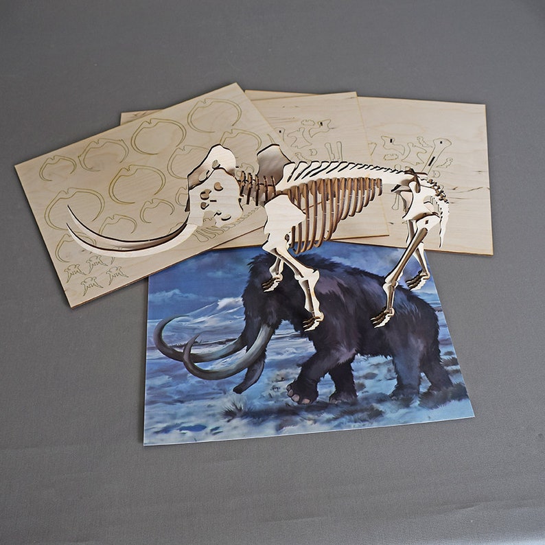3D Puzzle Mamoth Laser Cut Wooden Detailed Realistic Dino Skeleton ...