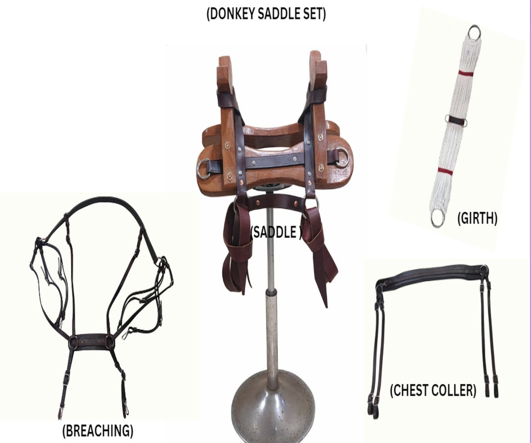 Donkey and Mule Saddle Set Made by Sheesham Wood and Buffalo Drum Dyed ...