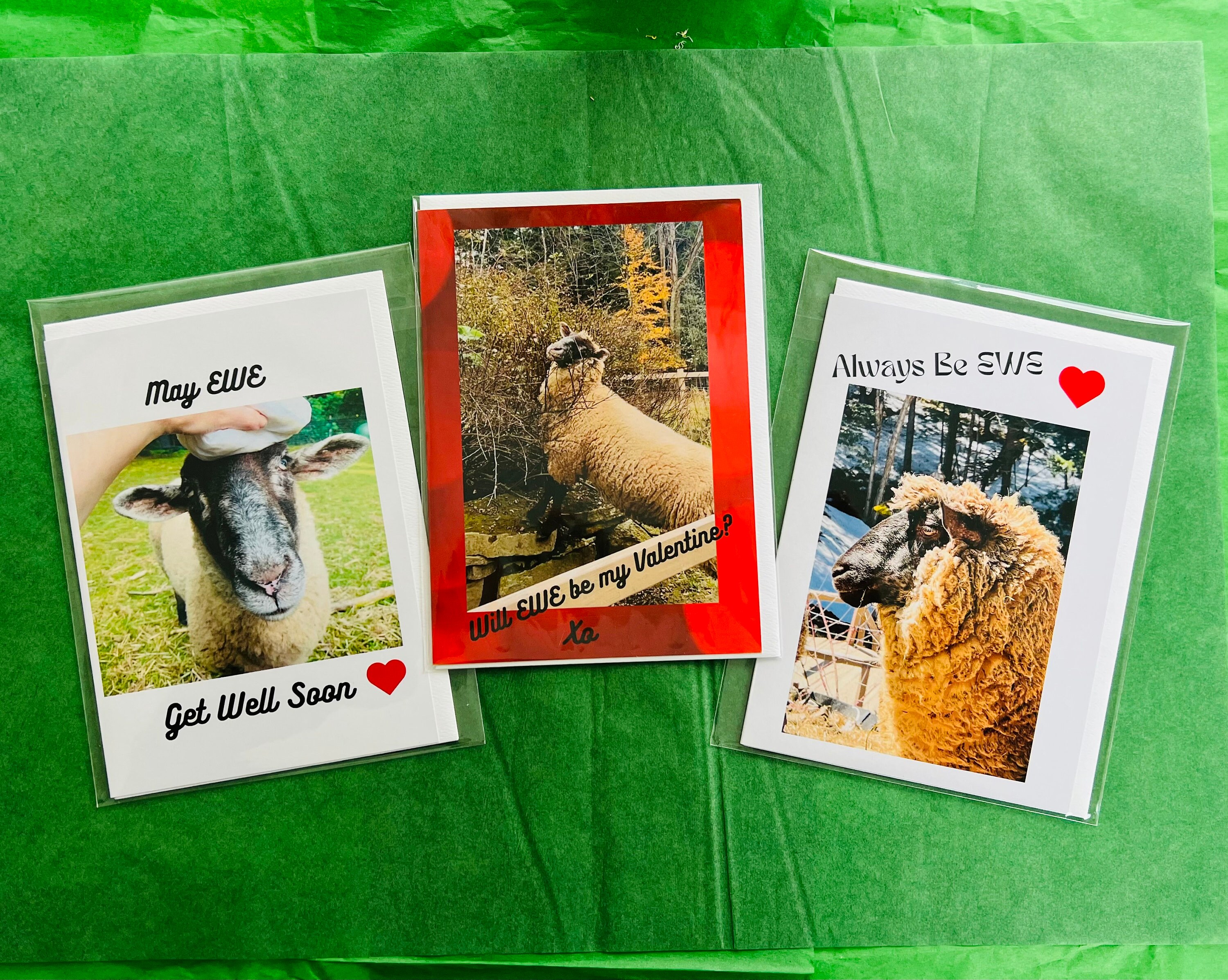 Sheep Cards EWE Cards may EWE Get Well Soon - Etsy