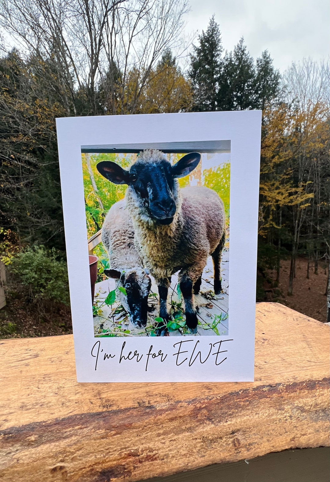 Sheep Cards- EWE Cards - "i'm Here for Ewe" - Note/ Greeting Card ...