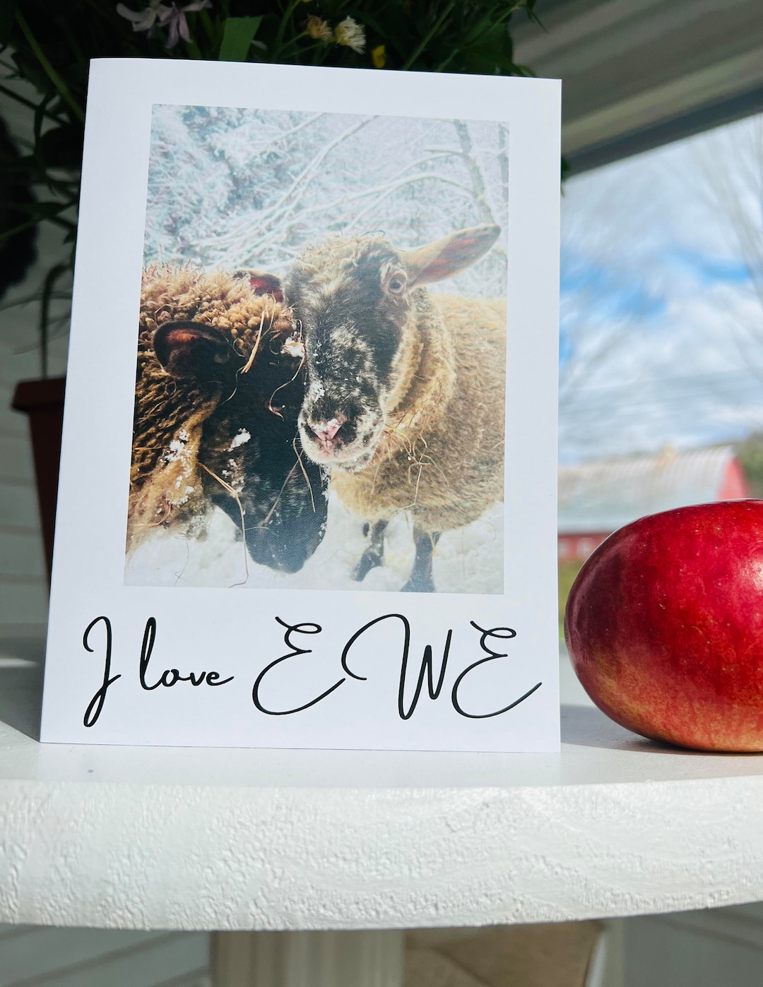 Sheep Card Valentine - EWE Cards - "i Love Ewe" - Love Note/ Valentine ...