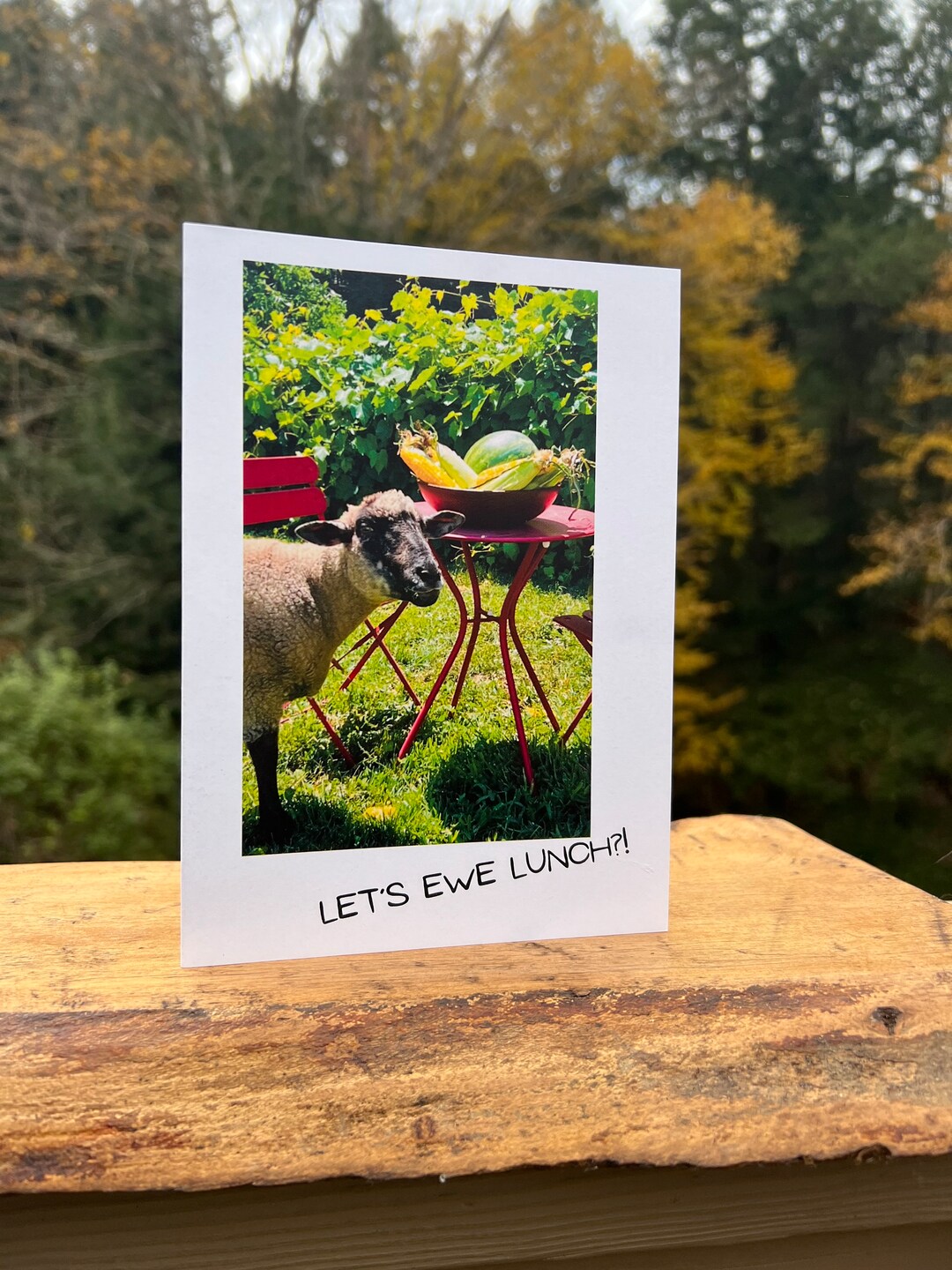 Sheep Cards - EWE Cards - "let's EWE Lunch?!" -greeting/ Note Card ...