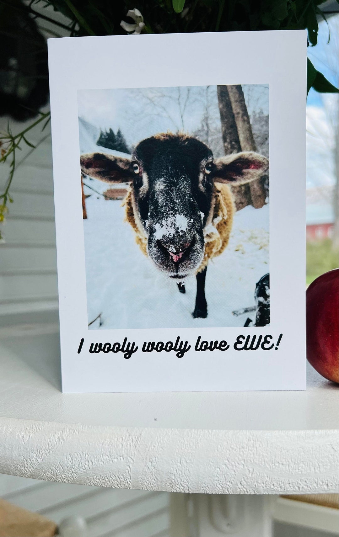 Sheep Card Valentine - EWE Cards - "i Wooly Wooly Love Ewe!"- Love Note ...