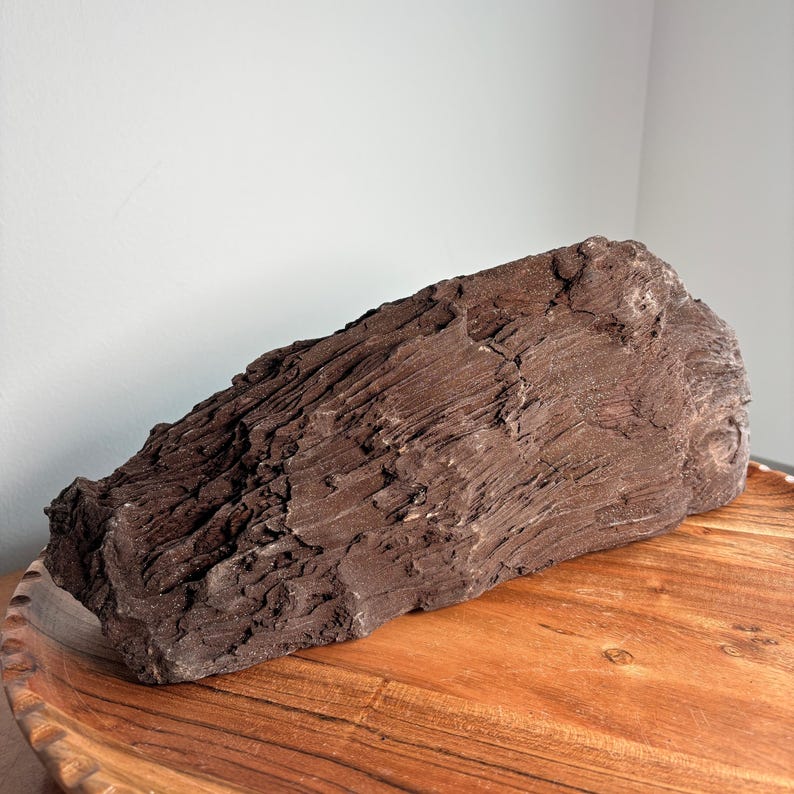 XXL Permineralized Wood Specimen / Ancient Sparkling Fossilized Wood ...
