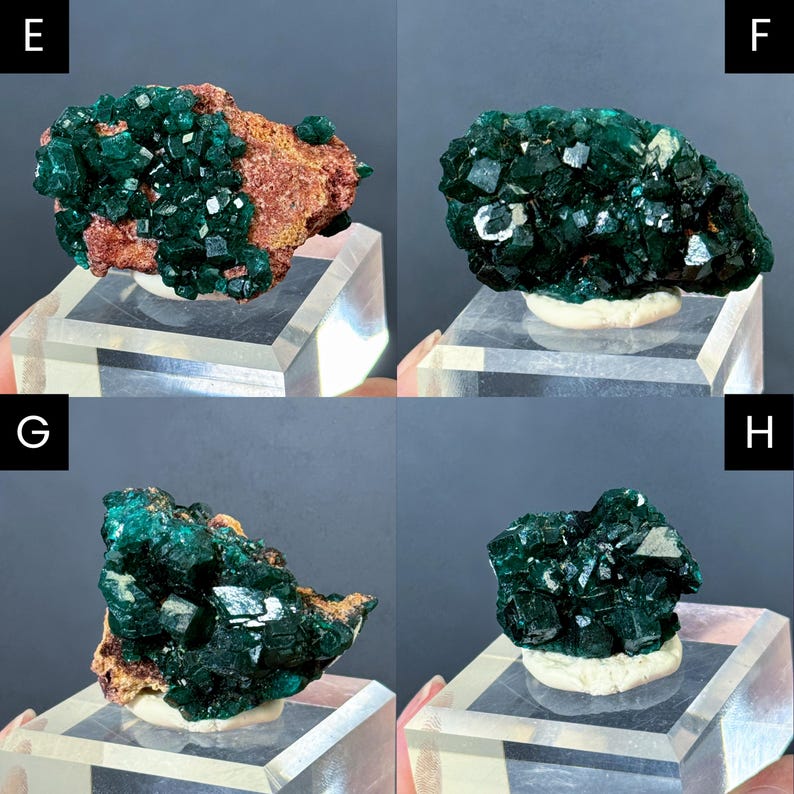 You Pick! Dioptase Specimens From DRC / Small Natural Minerals Variety ...