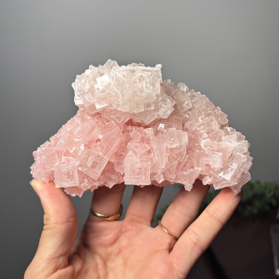 Medium Light Pink Lustrous Halite Crystal From Searles Lake, California ...