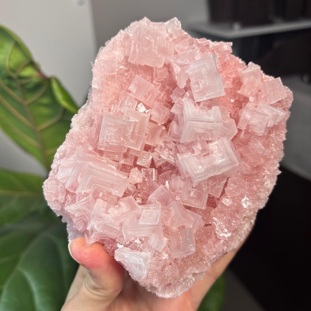 Large Bubblegum Pink Halite Crystal From Searles Lake, California ...