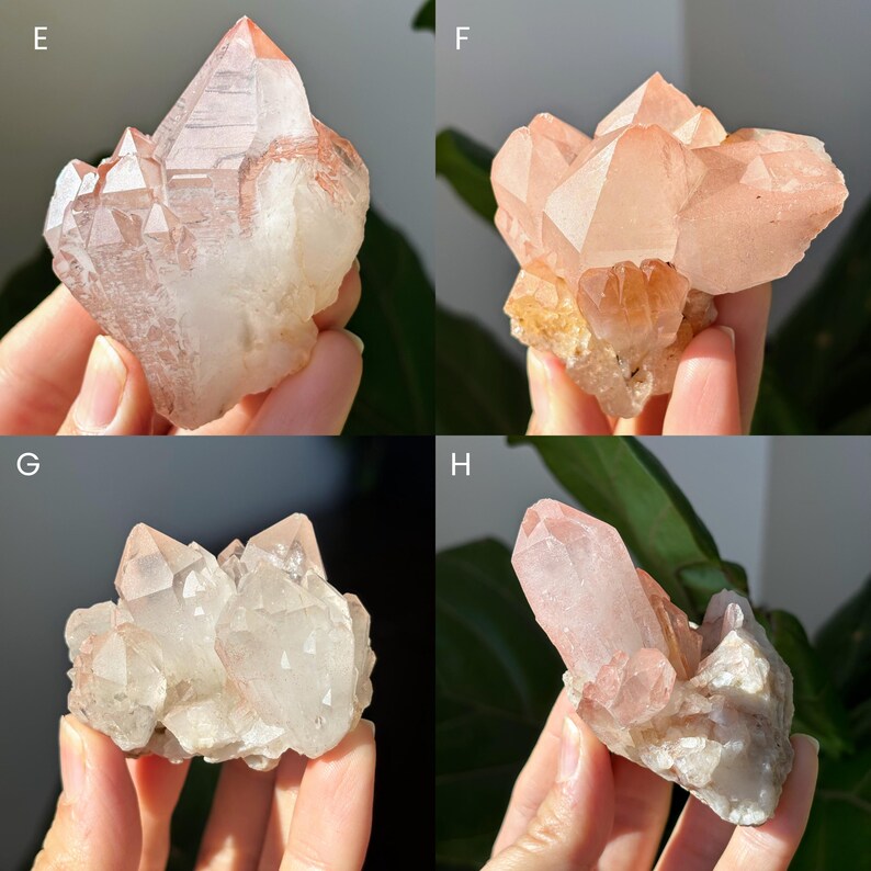 You Pick! Indian Pink Quartz Cluster - Etsy
