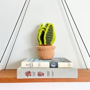 PATTERN: Crochet Mini House Plant Collection, Crochet Plant Pattern ...