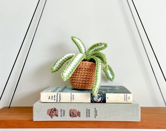 Spider Plant Crochet Pattern Amigurumi Houseplant - Etsy Canada