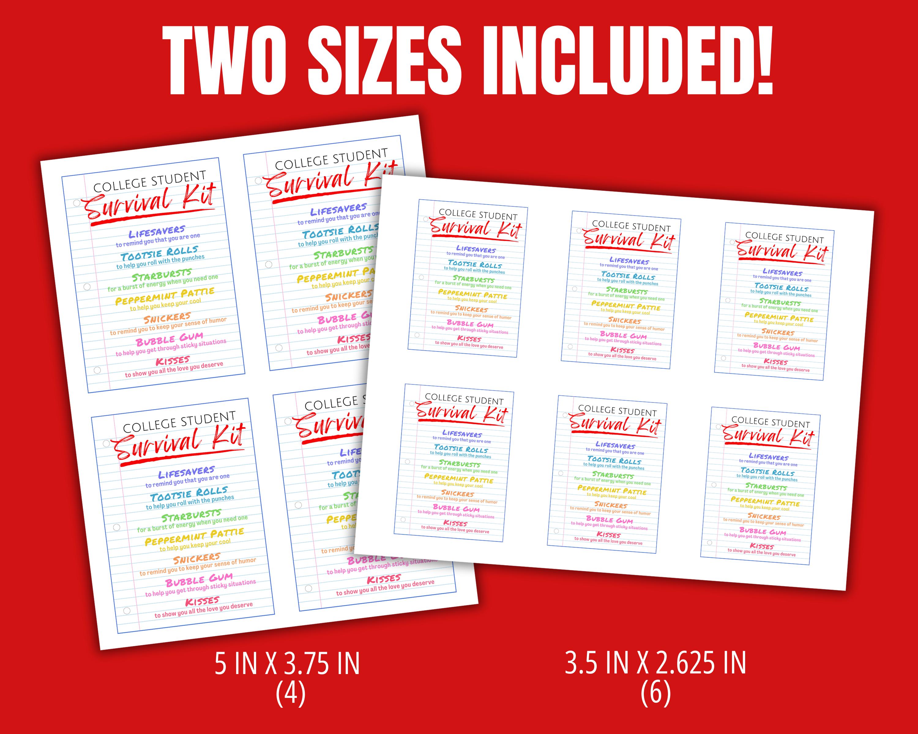 College Student Survival Kit Gift Tags, University Care Package for Son ...