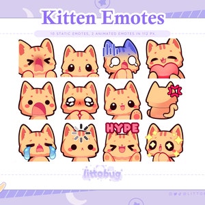 Orange Cat Emotes animated, 12 Pack for Twitch, Youtube, Discord ...