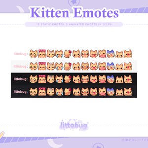 Orange Cat Emotes animated, 12 Pack for Twitch, Youtube, Discord ...