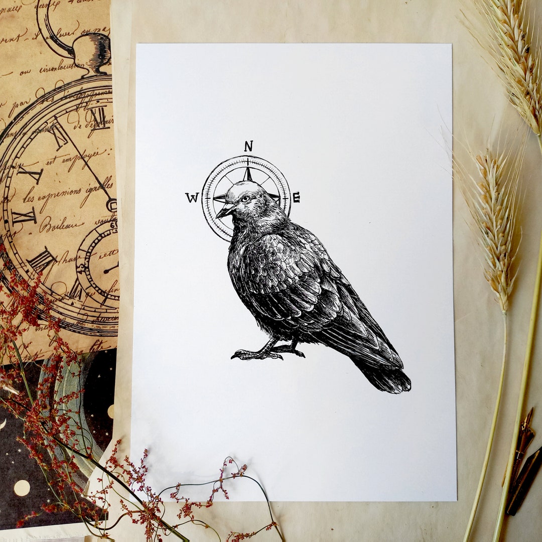Pigeon Art Print - Pidgeon With Compass Illustration - Inktober Ink ...