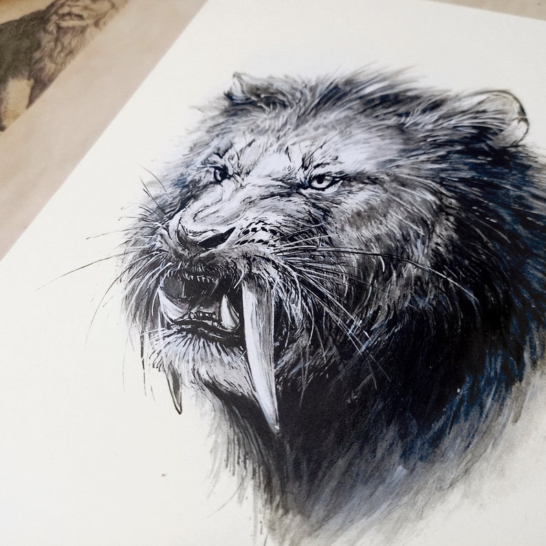 Sabertooth Tiger Art Print Prehistoric Wildlife Illustration Smilodon ...